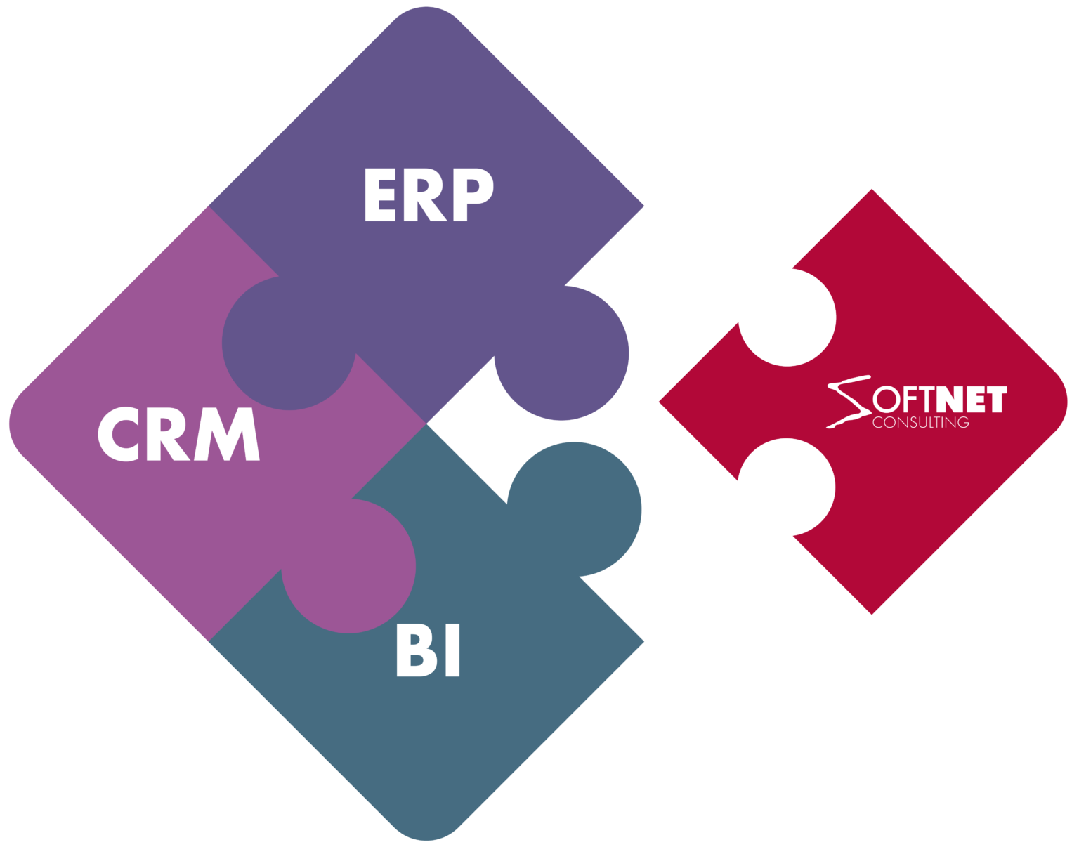 Digitalizare - Servicii De Digitalizare | Soft Net Consulting
