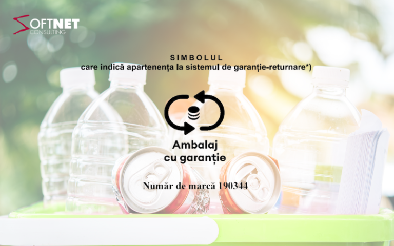 e-Guvernare: Interfața digitală pentru colaborarea cu statul